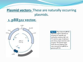 Introduction to RDT methods in genetic engineering | PPT