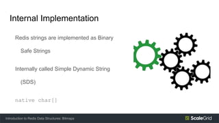 Introduction to Redis Data Structures | PPT