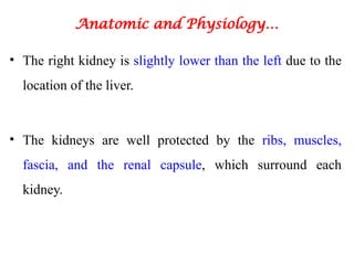 Introduction to renal disorders best (2).pptx