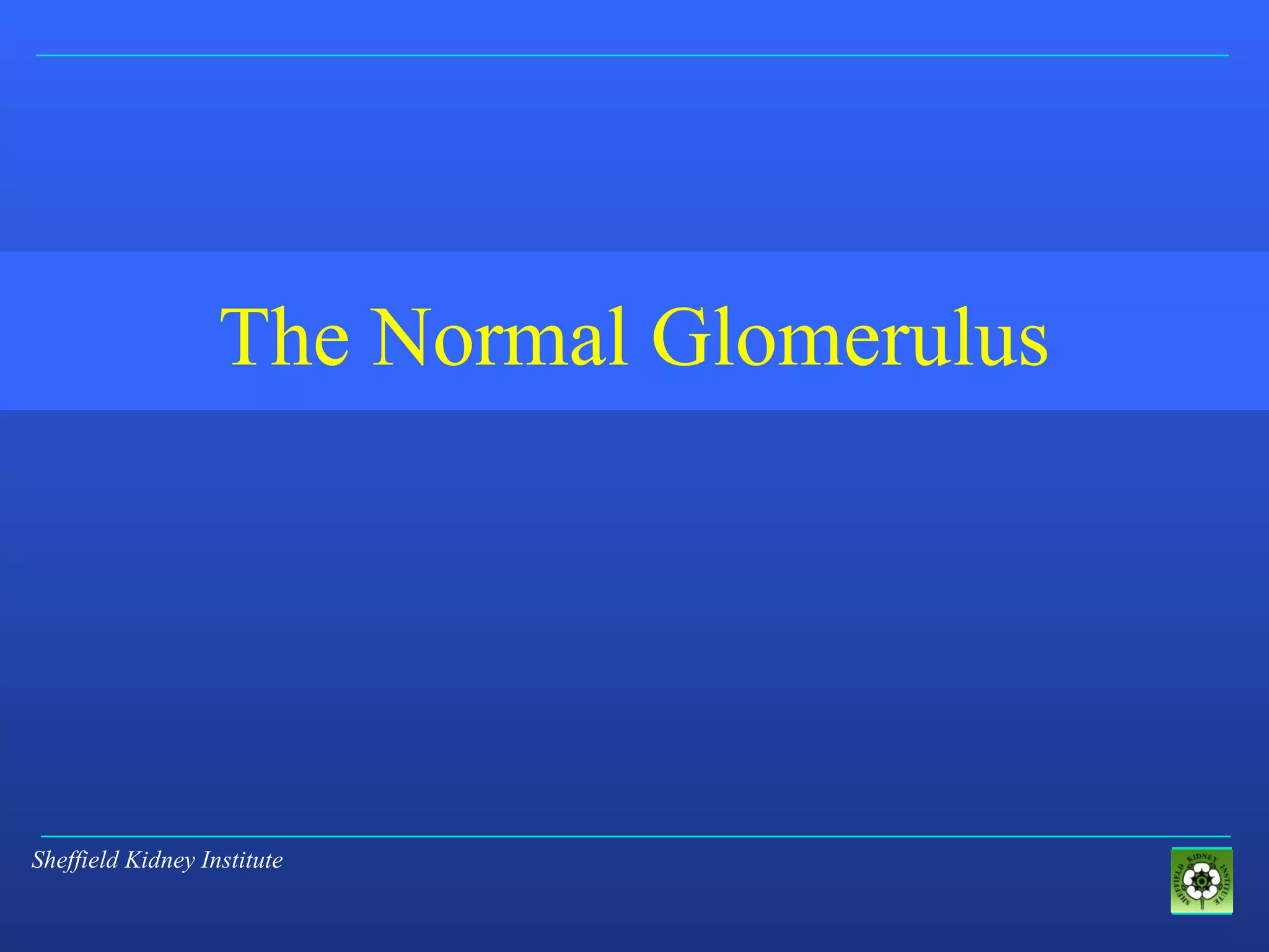 Introduction to Renal Histopathology | PPT