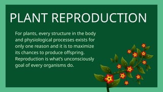 introduction to plant and animal reproduction.pptx