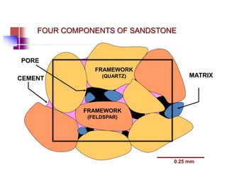 Introduction to Reservoir Rock & Fluid Properties | PPTX