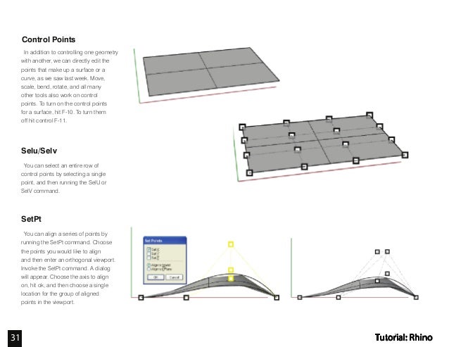 Introduction to Rhino