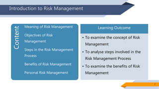 Introduction to Risk Management | PPTX