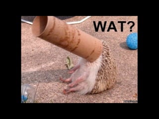 Introduction to Ruby | PPT