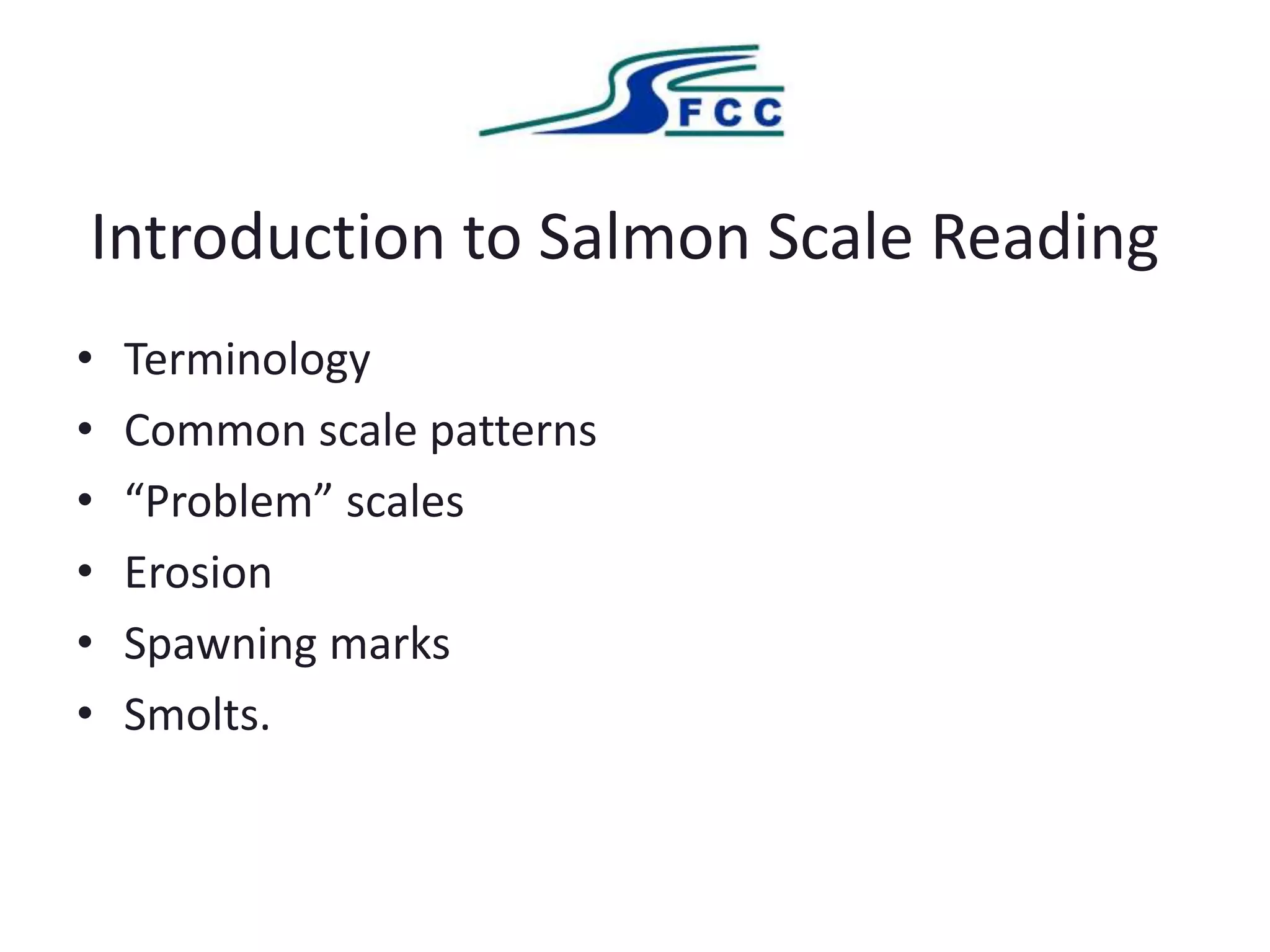 SFCC Introduction to salmon scale reading; Terminology and Common Scale ...