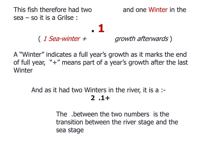 SFCC Introduction to salmon scale reading; Terminology and Common Scale ...
