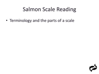 SFCC Introduction to salmon scale reading; Terminology and Common Scale Patterns | PPTX