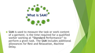 Introduction to SAM | PPTX | Business Accounting & Finance | Business