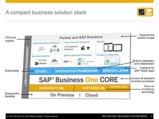 Introduction to SAP Business One HANA | PPTX