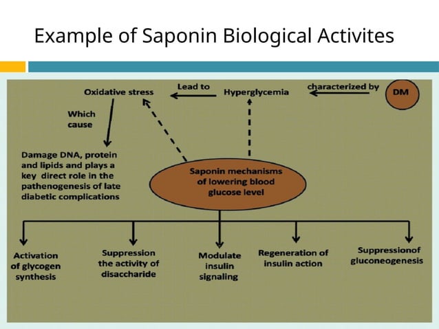 INTRODUCTION and identification SAPONIN.pptx