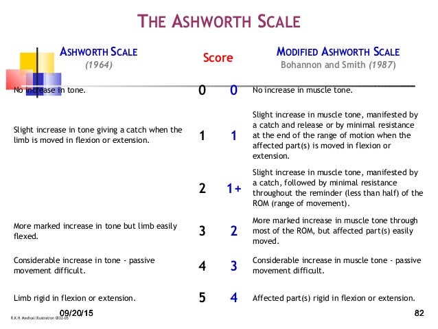 Introduction to sci (2) (3)