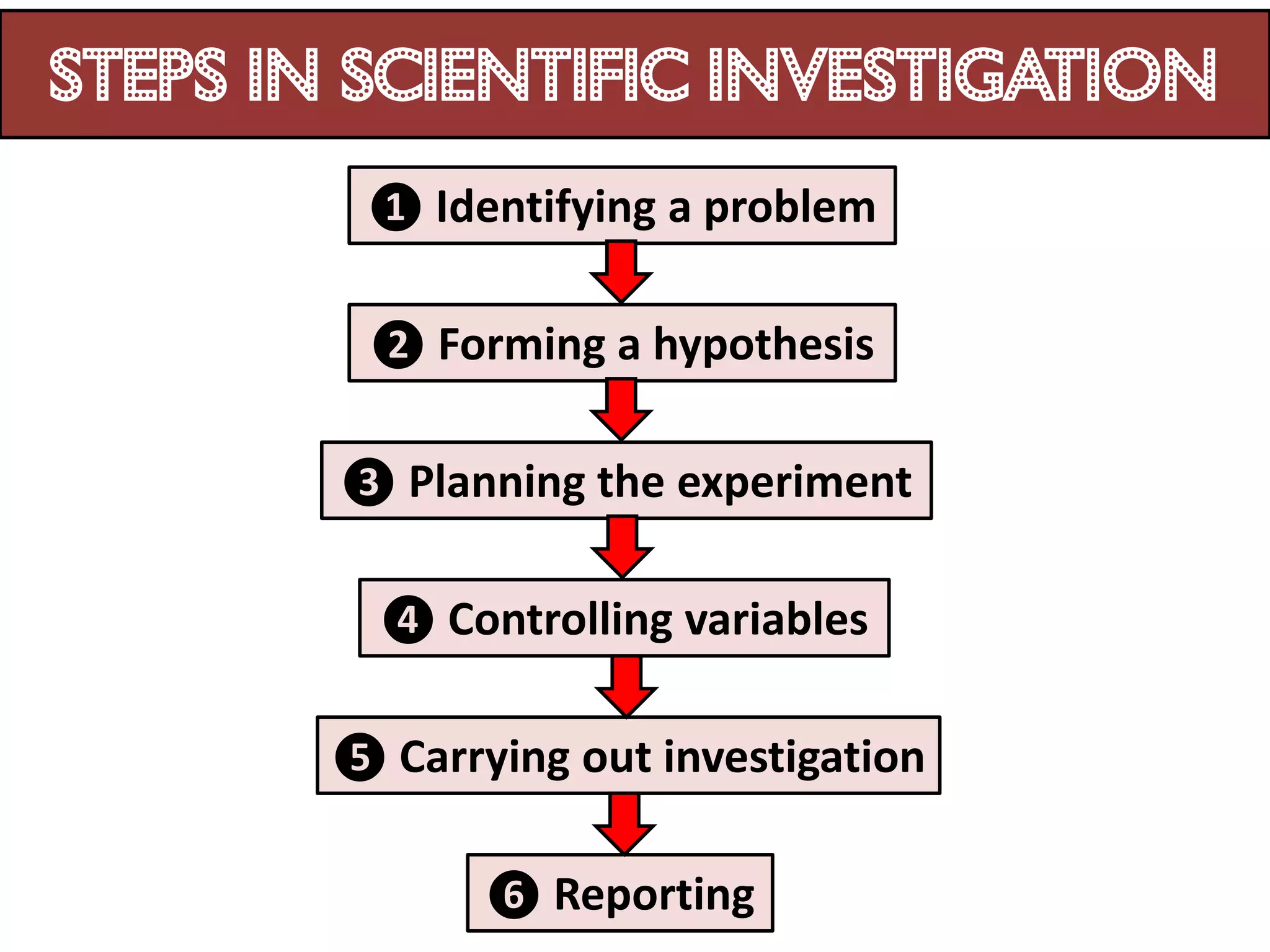 Introduction to Science | PDF