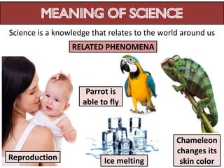 Introduction to Science | PDF