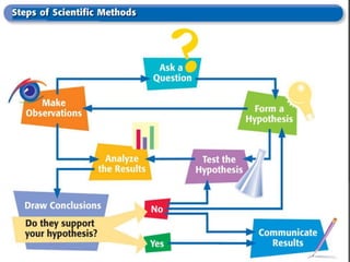 Introduction to Science 3.2 : Scientific Methods | PPT | Free download