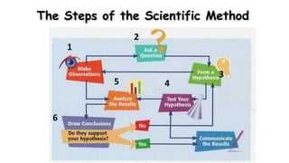 Introduction to Scientific Method.pptx | Science