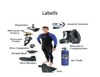 Scuba Diving Equipment Diagram