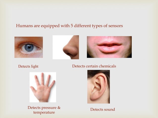 Introduction to sensors | PPTX | Physics | Science