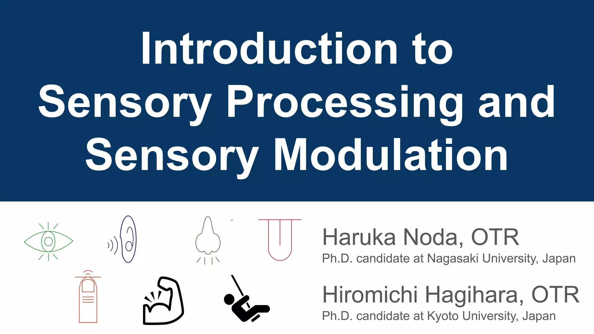 Introduction to sensory processing and sensory modulation | PDF