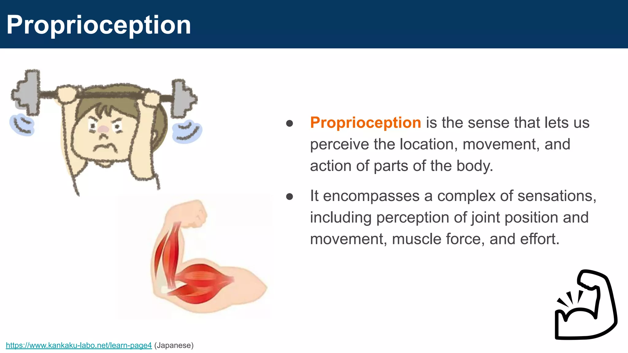 Introduction to sensory processing and sensory modulation | PDF