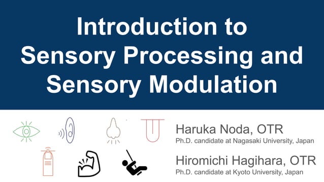 Introduction to sensory processing and sensory modulation | PDF ...