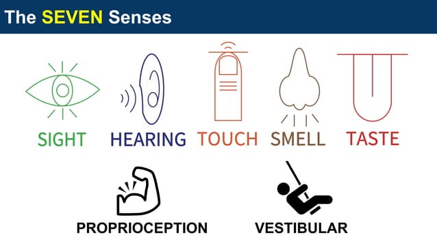 Introduction to sensory processing and sensory modulation | PDF ...