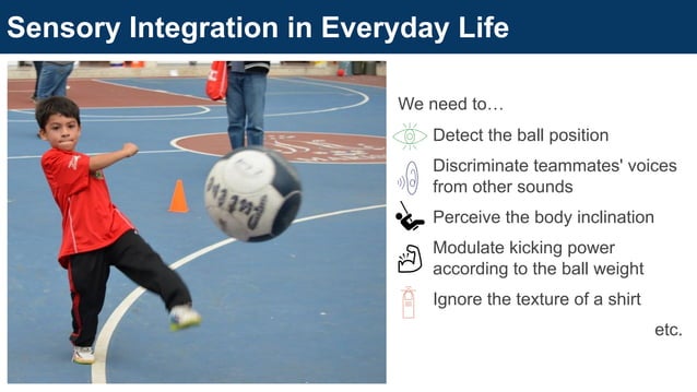 Introduction to sensory processing and sensory modulation | PDF ...