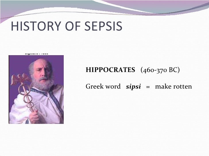 Hippocrates Definition