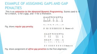 Introduction to sequence alignment partii | PPTX