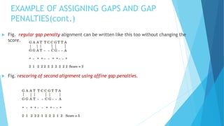 Introduction to sequence alignment partii | PPTX