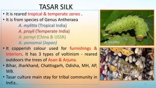 Introduction to sericulture | PPTX