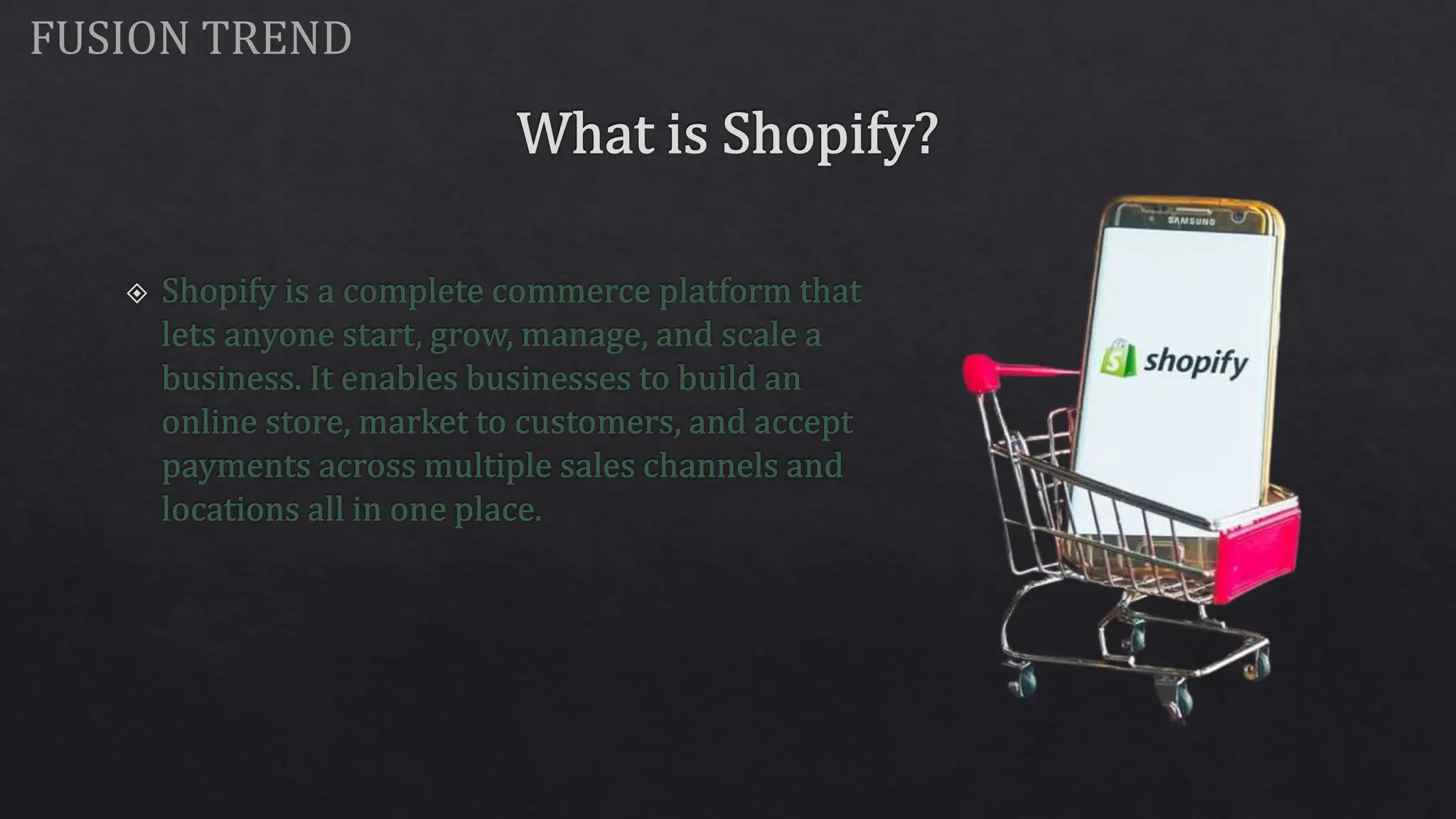 introduction to shopify.pptx