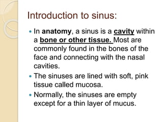 Introduction to sinus | PPT
