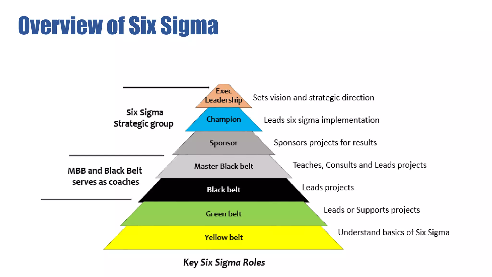 Introduction to Six Sigma (Basic) | PPTX