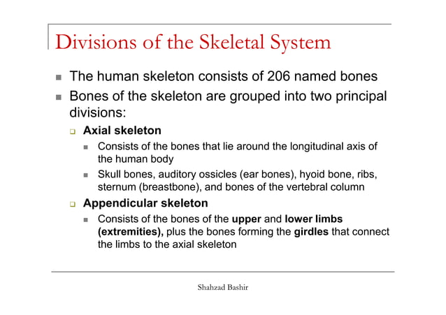 Introduction to skeletal system.
