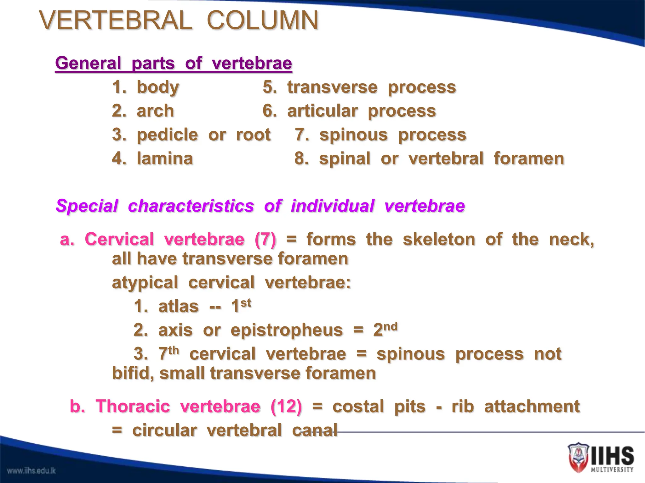 Introduction To Skeletal System Anatomy Ppt