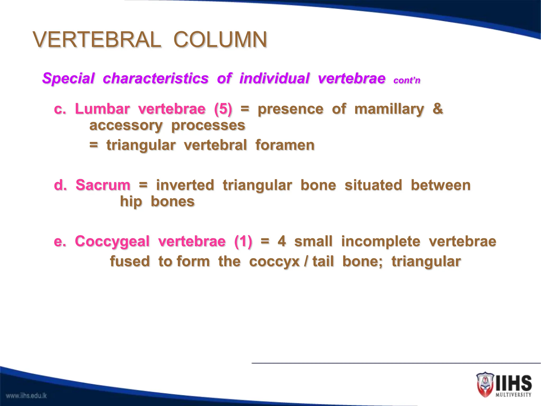 Introduction To Skeletal System Anatomy Ppt