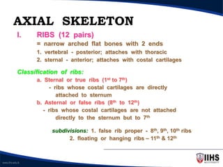 Introduction to Skeletal System anatomy | PPT