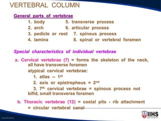 Introduction to Skeletal System anatomy | PPT