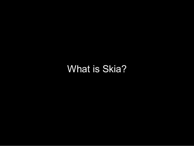 Introduction To Skia A Modern 2d Graphics Library Elce 2014