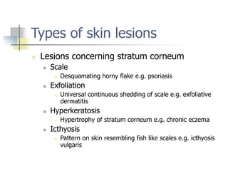 Introduction to skin and various skin conditions. | PPT