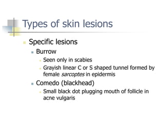 Introduction to skin and various skin conditions. | PPT