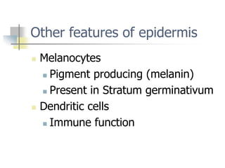 Introduction to skin and various skin conditions. | PPT
