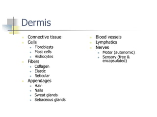Introduction to skin and various skin conditions. | PPT
