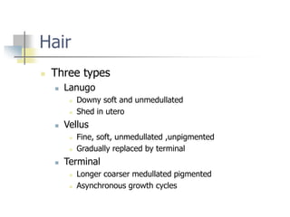 Introduction to skin and various skin conditions. | PPT
