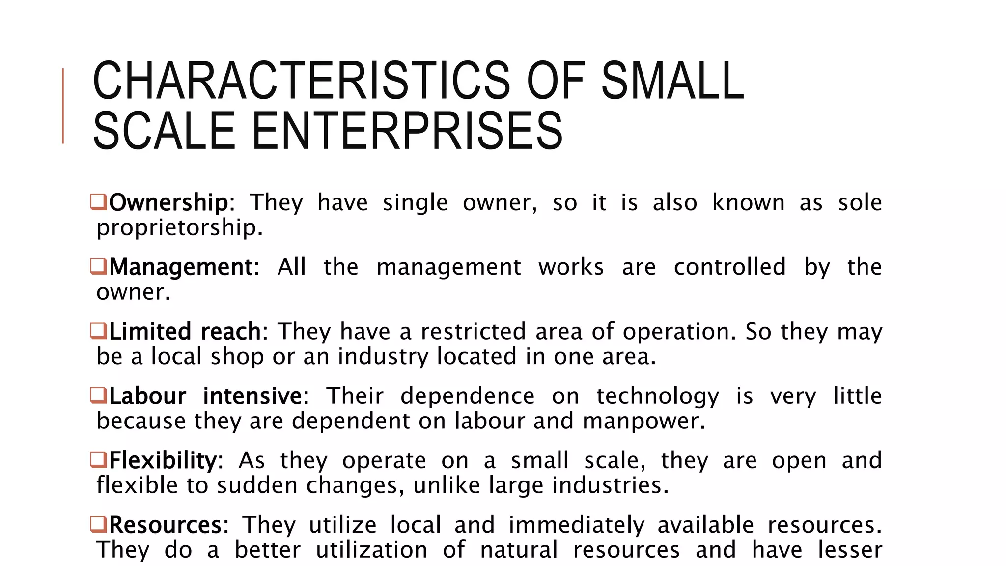 Introduction to small scale enterprises | PPTX