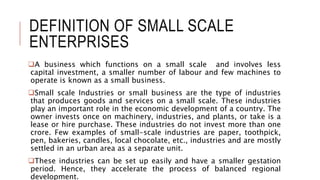 Introduction to small scale enterprises | PPTX