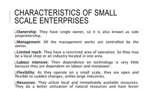 Introduction to small scale enterprises | PPTX
