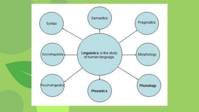 Introduction to Linguistics | PPTX