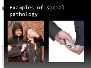 Introduction to sociology | PPTX